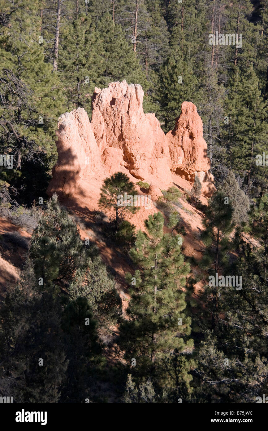 rock and forest Stock Photo - Alamy