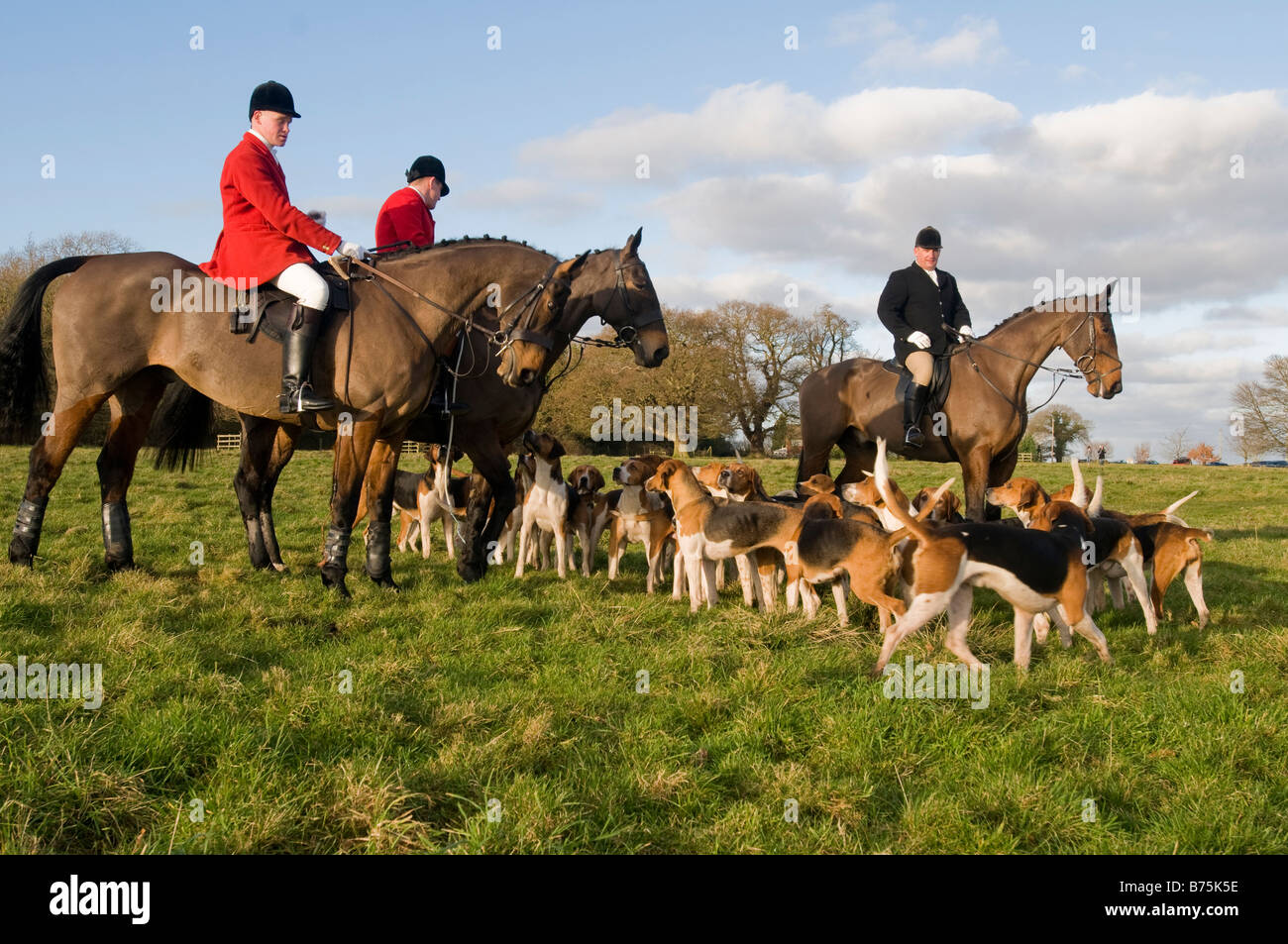 Holderness hunt hi-res stock photography and images - Alamy