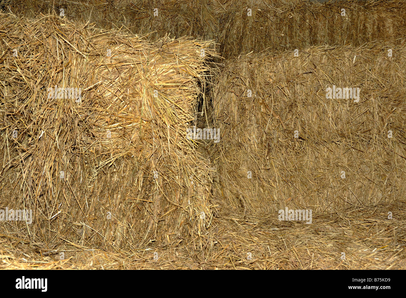 Baled hay stacked in a barn in Kentucky Stock Photo - Alamy