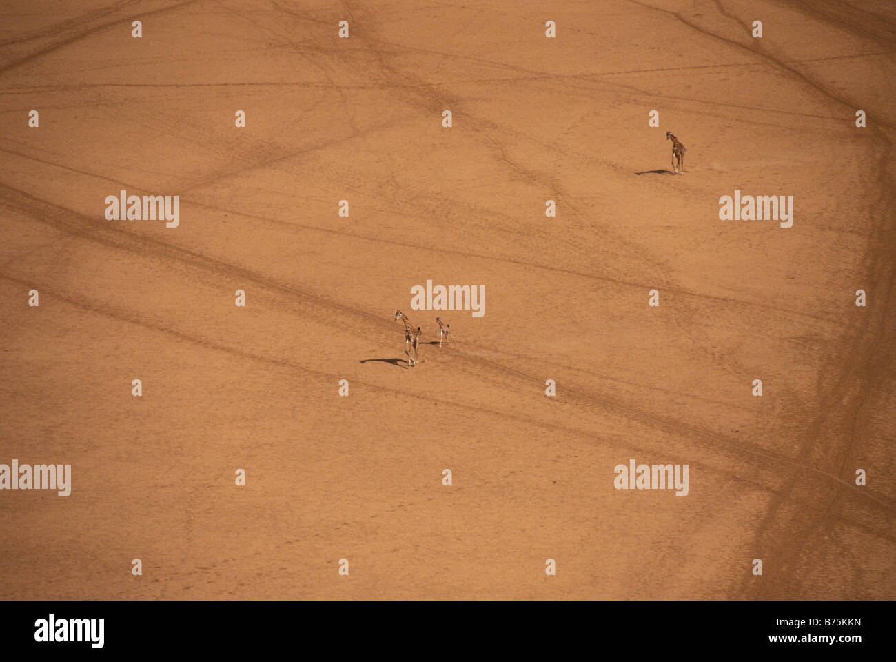 Neck 3 hi-res stock photography and images - Alamy