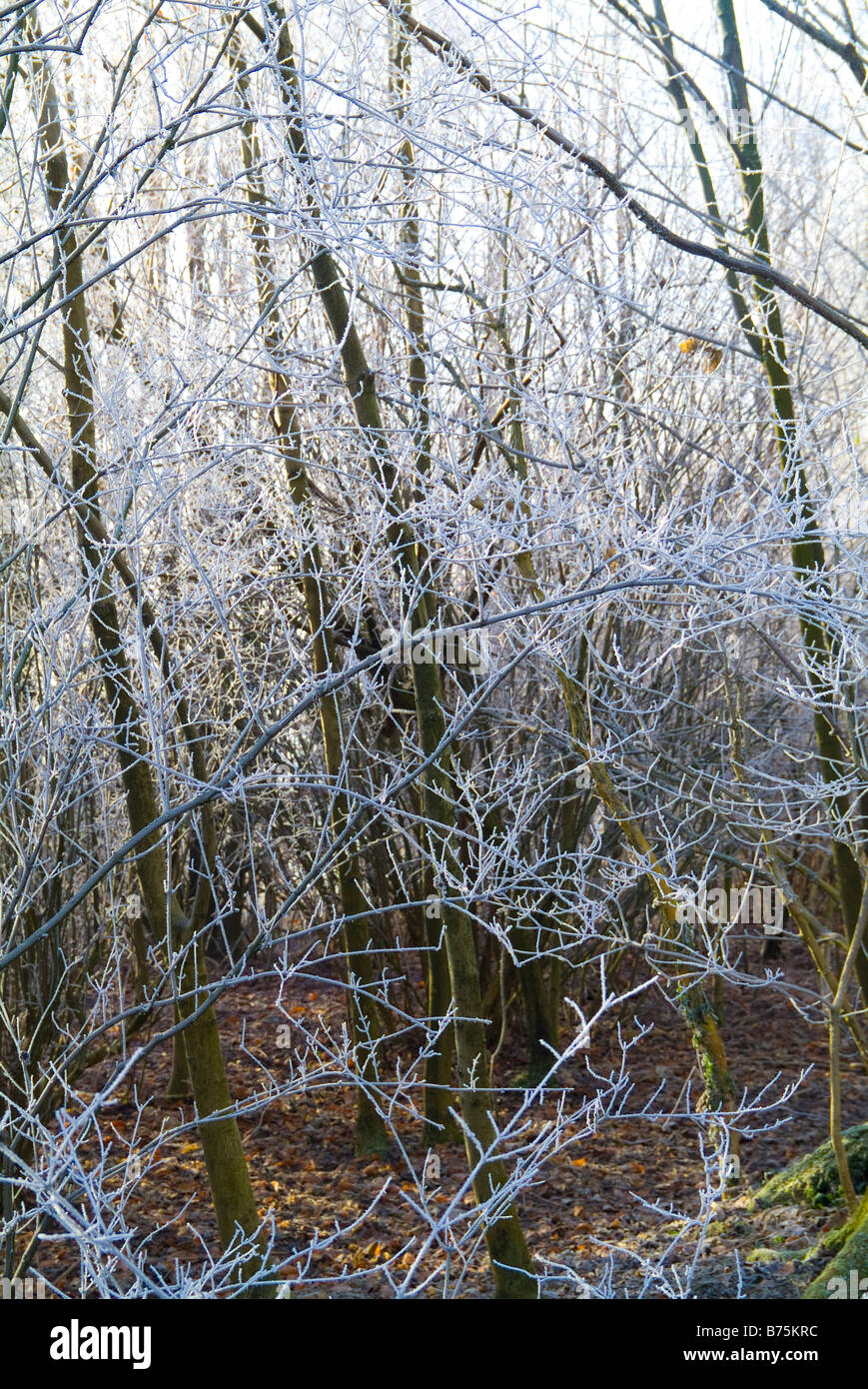 Reigate Hill, The Inglis Memorial at Colley Hill and in the winter ...