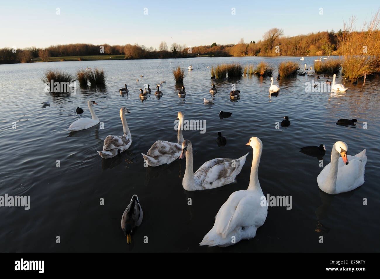 Cosmeston hi-res stock photography and images - Alamy