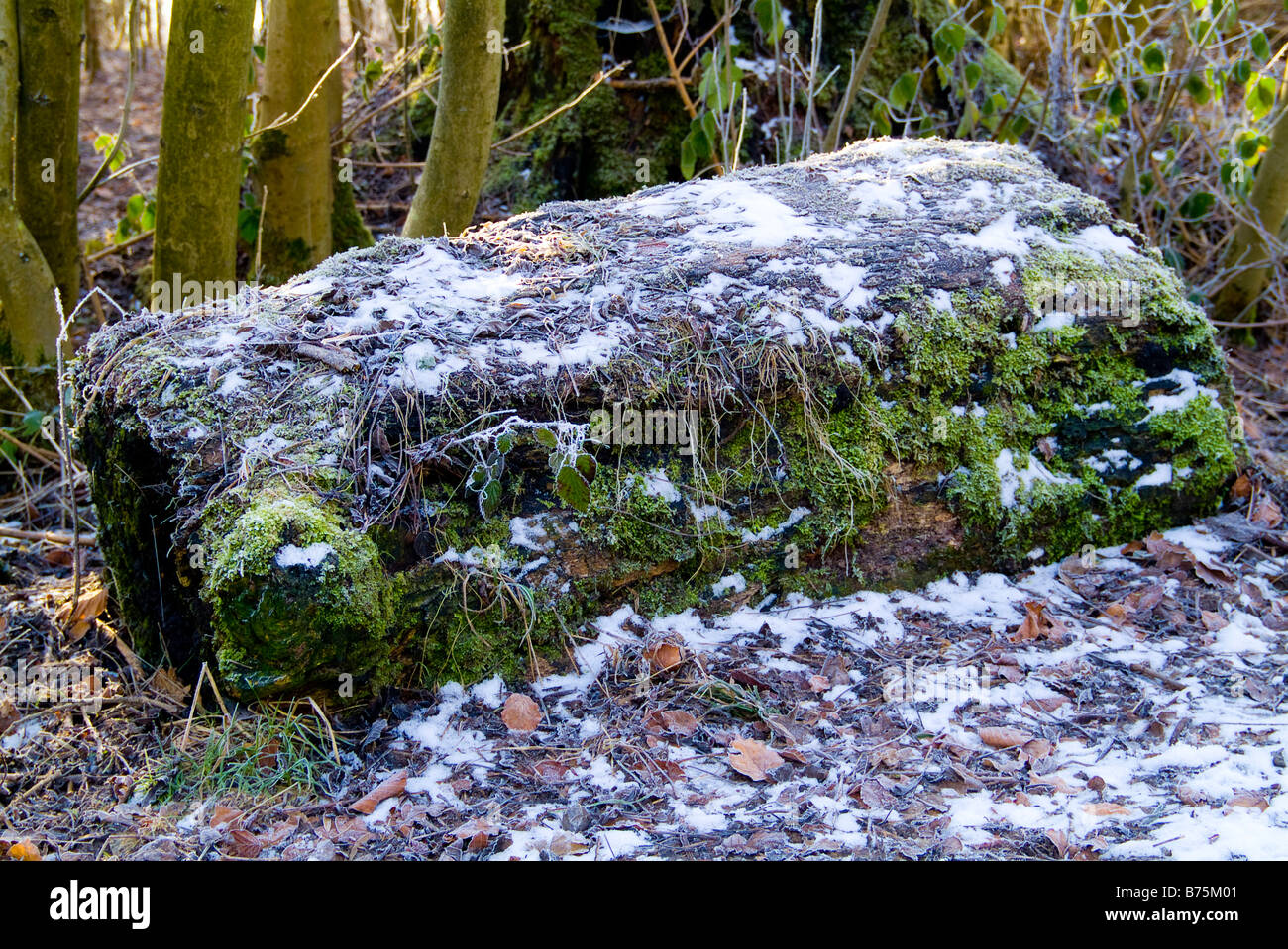 Reigate Hill, The Inglis Memorial at Colley Hill and in the winter ...