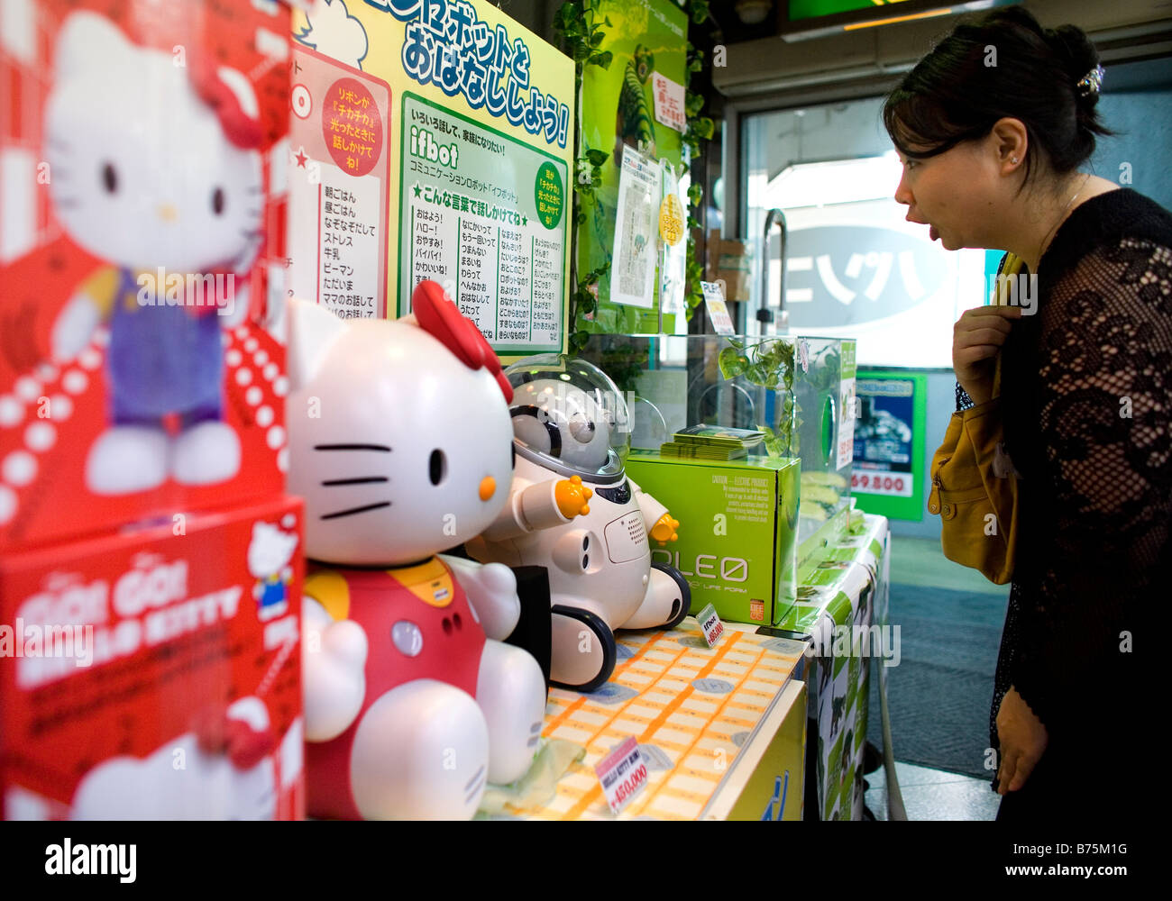 The first robot fair was held in Tokyo Japan on 11 oct 2008 The main ...