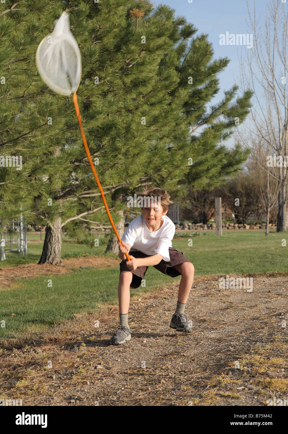 young boy with tall insect net trying to catch a butterfly Stock Photo ...