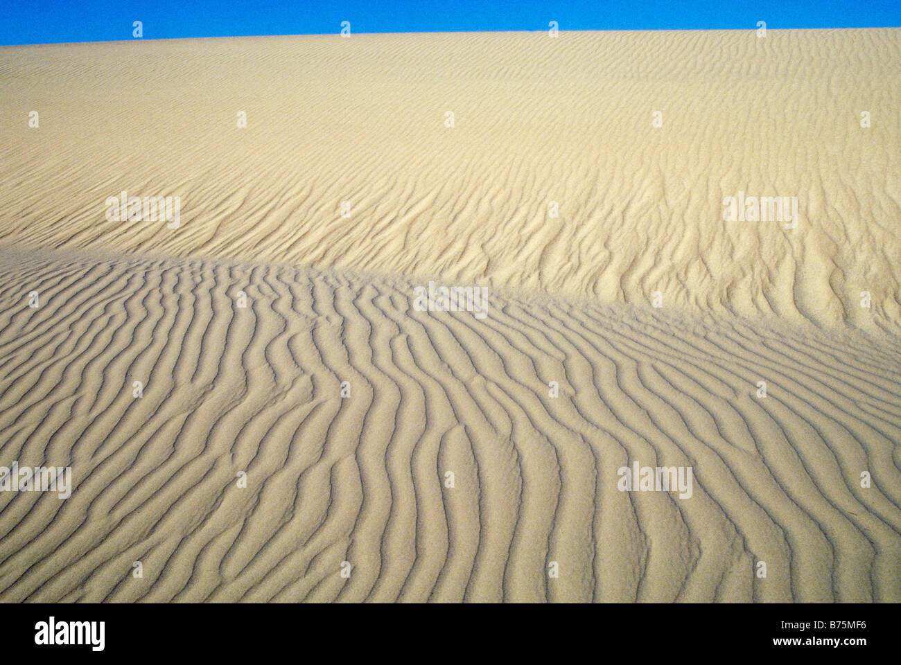 Sand Dunes, Bahrain, Arabian Gulf Stock Photo - Alamy