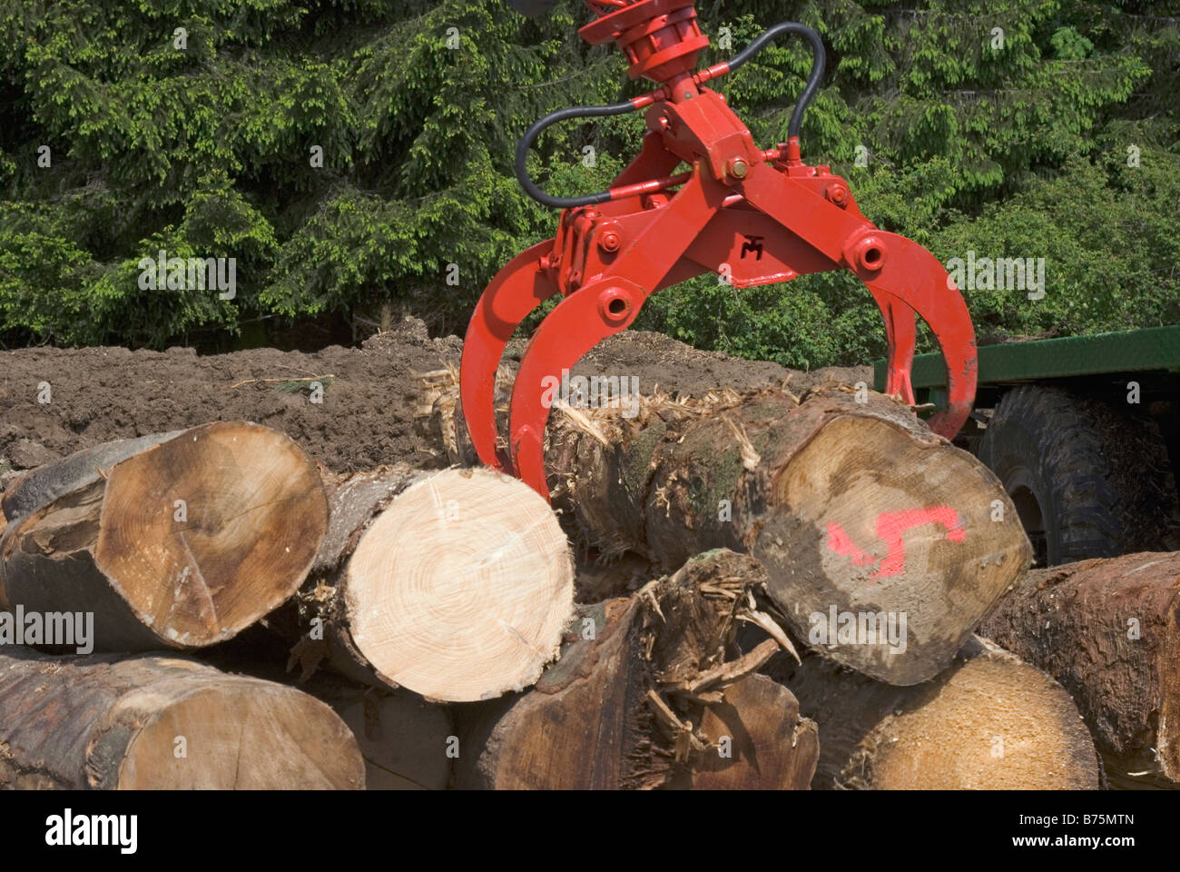 log picker machine at work in a forest in Valcamonica Lombardia Stock ...