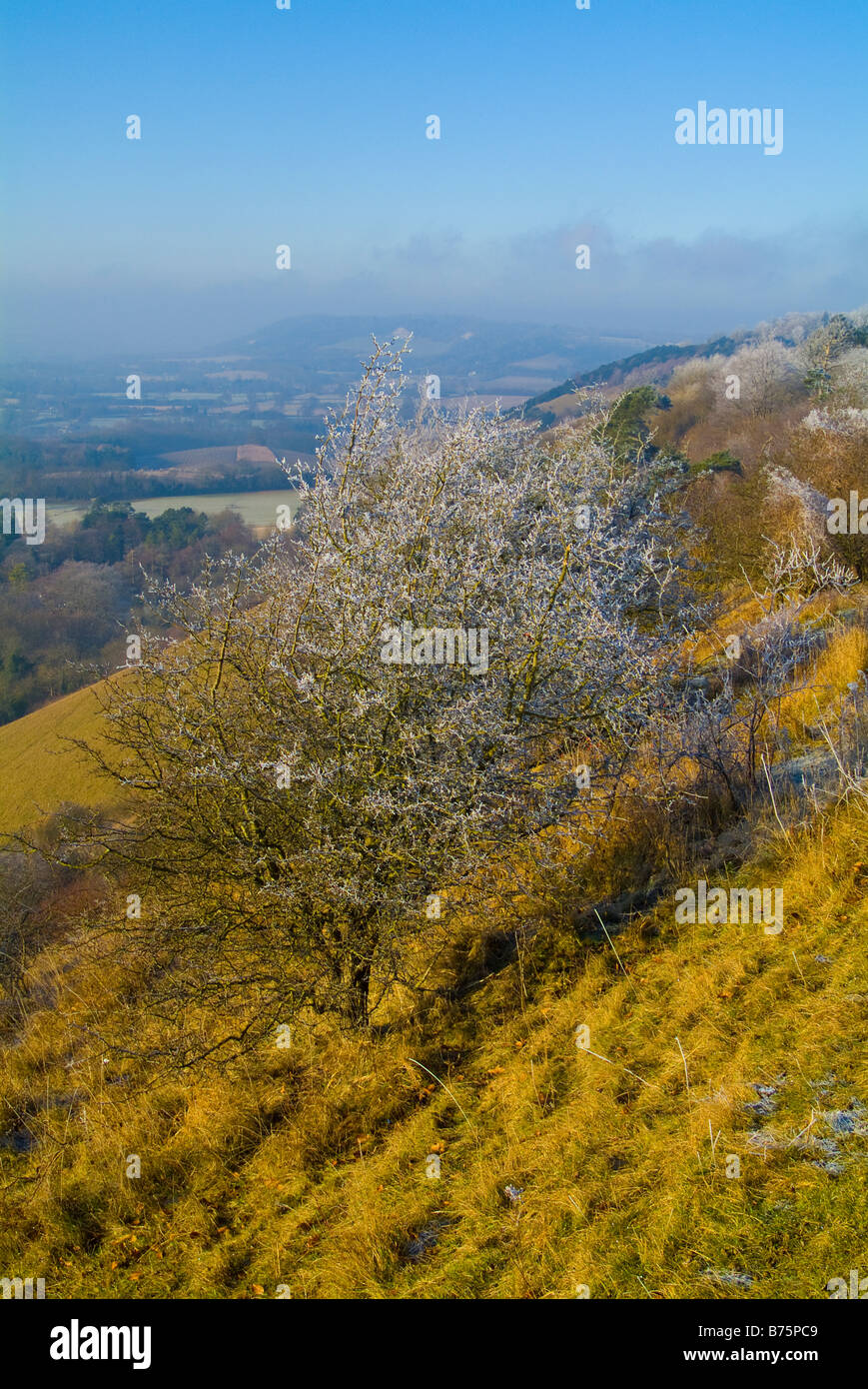 Reigate Hill, The Inglis Memorial at Colley Hill and in the winter ...