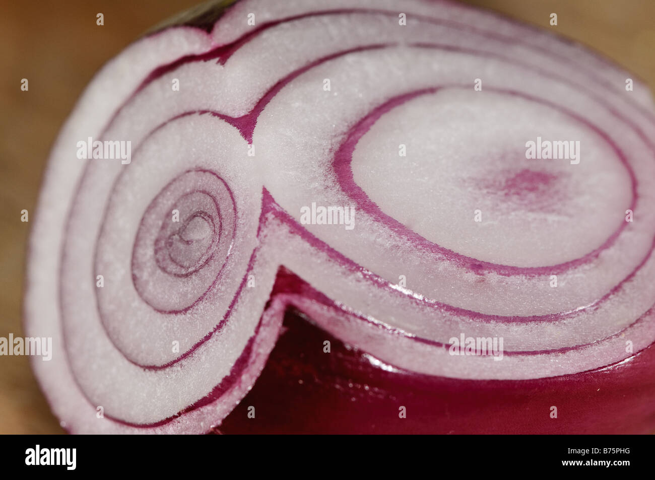 A close up of Red onion cut on 2 faces to show a cross section Stock ...