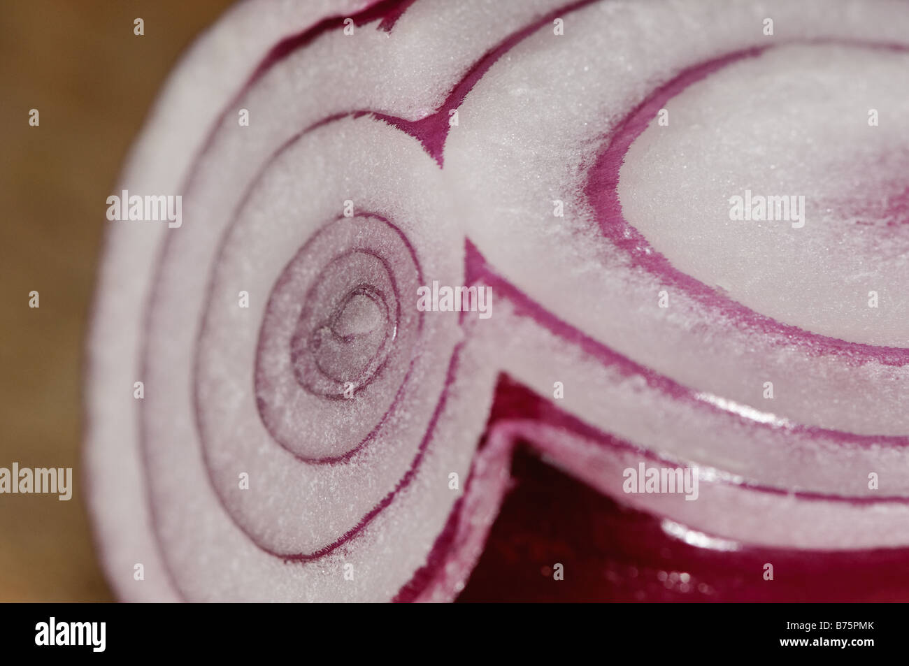 A close up of Red onion cut on 2 faces to show a cross section Stock ...