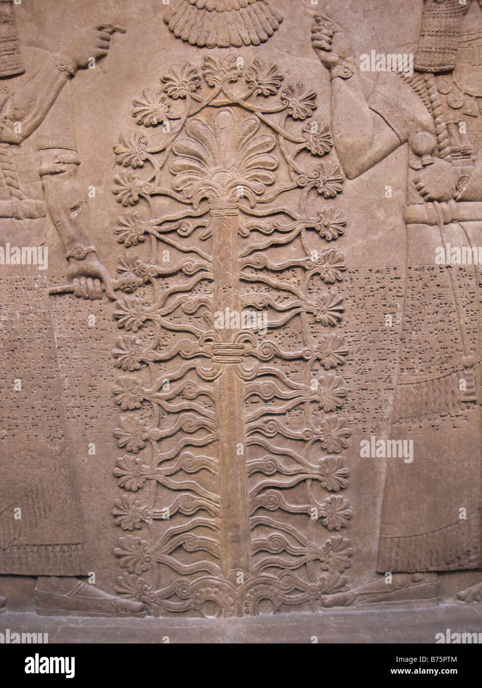 Assyrian King Ashurnasirpal appearing twice with Sacred Tree on gypsum ...