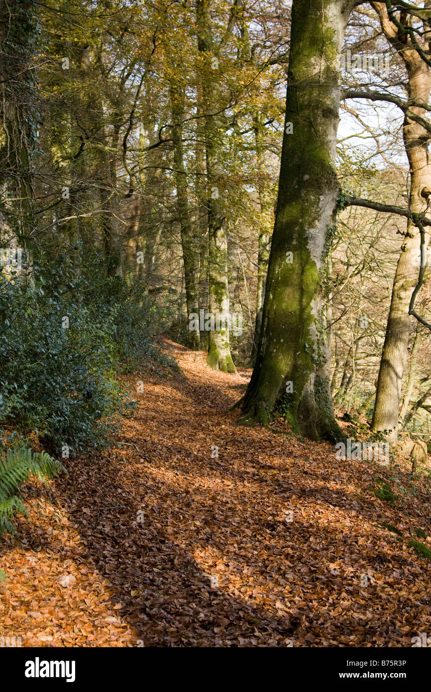 Autumn In England Stock Photo - Alamy