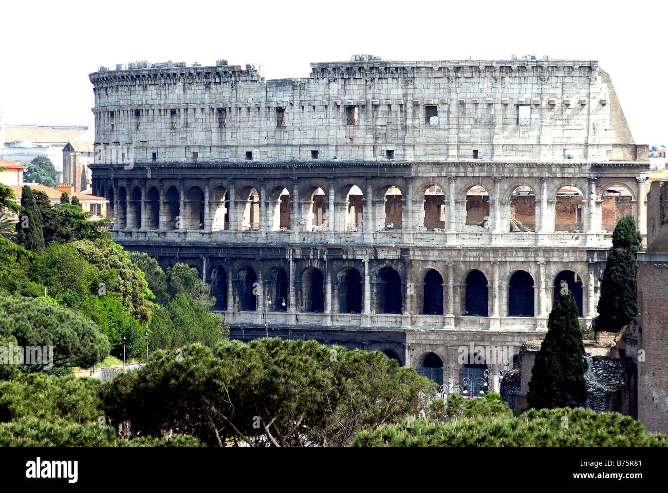 Coliseum in greenery, Roma, Italy Stock Photo - Alamy