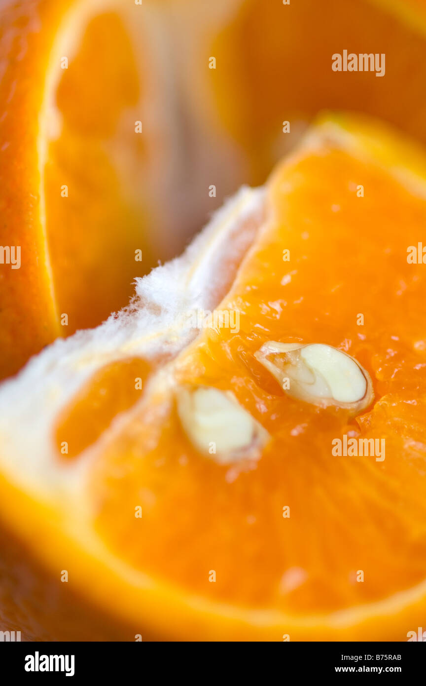 Segments of fruit hi-res stock photography and images - Alamy