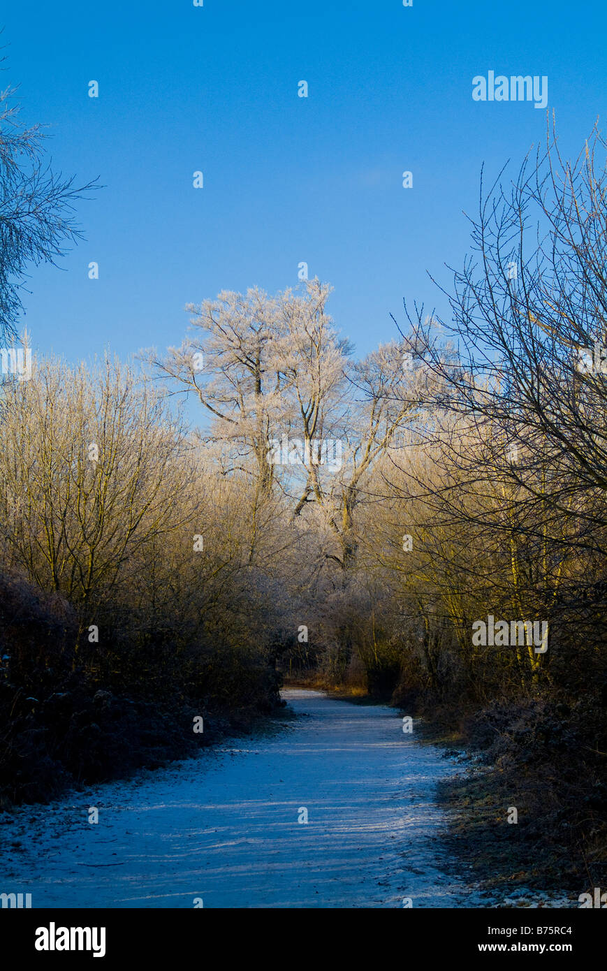 Reigate fort surrey hi-res stock photography and images - Alamy