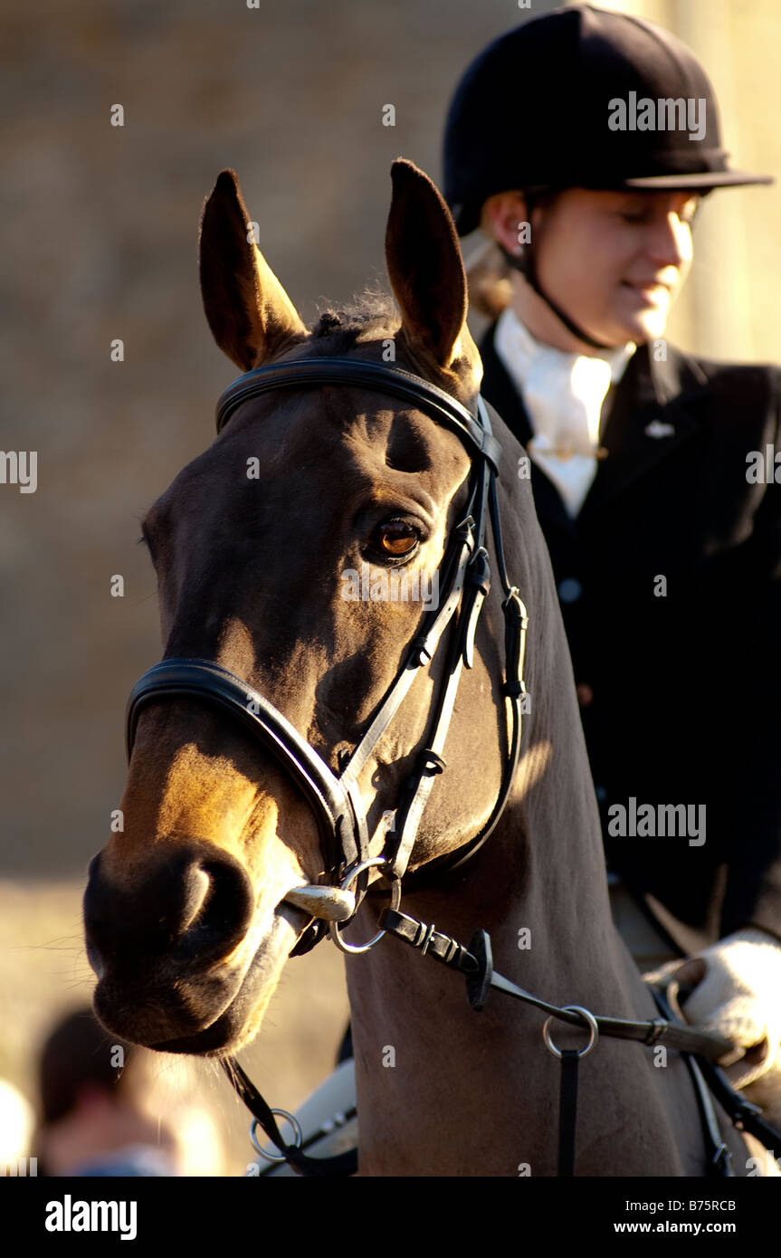 Teh Avon Vale Hunt on it's traditional Boxing day Fox Hunt Stock Photo ...