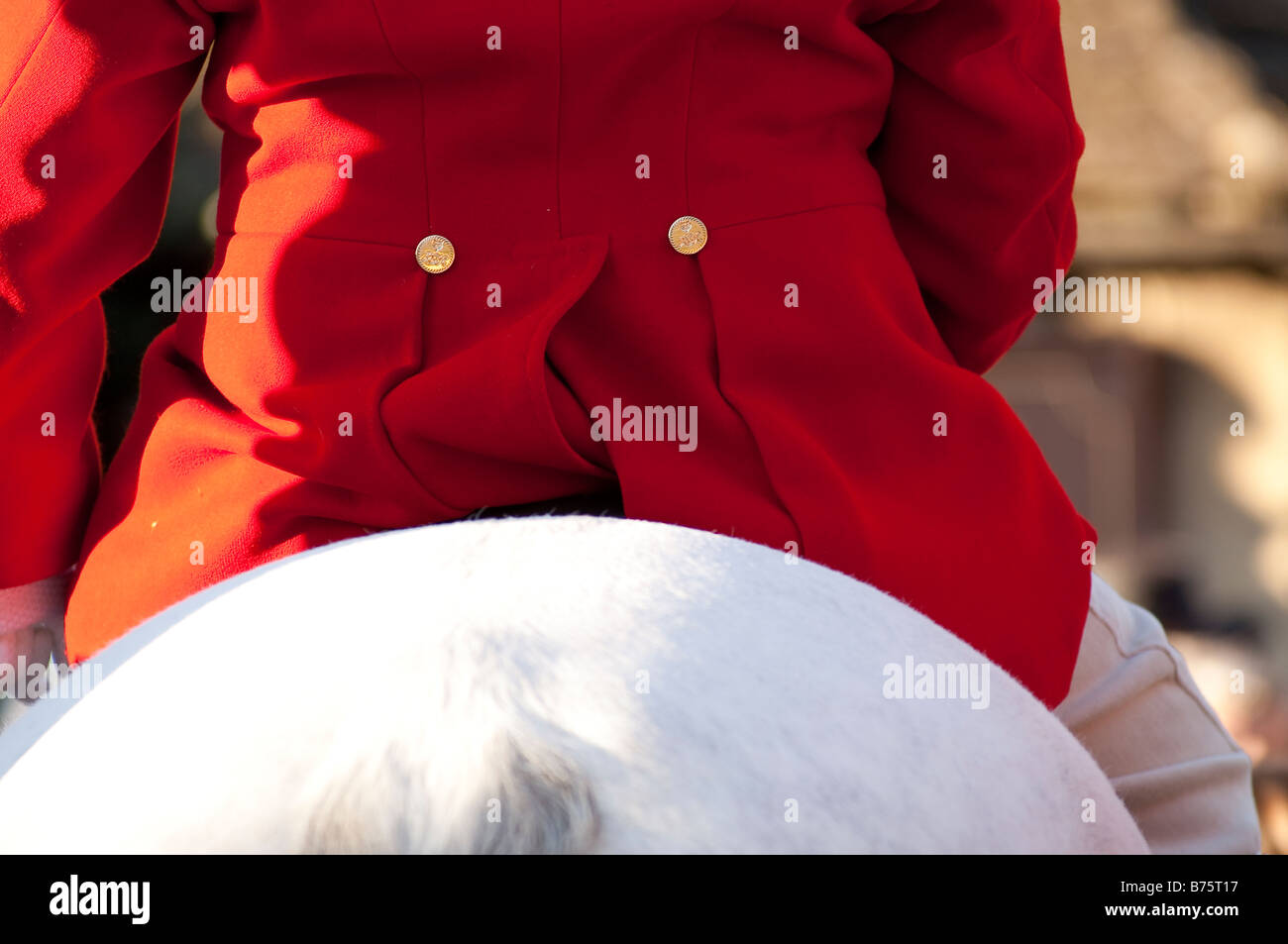 Teh Avon Vale Hunt on it's traditional Boxing day Fox Hunt Stock Photo ...