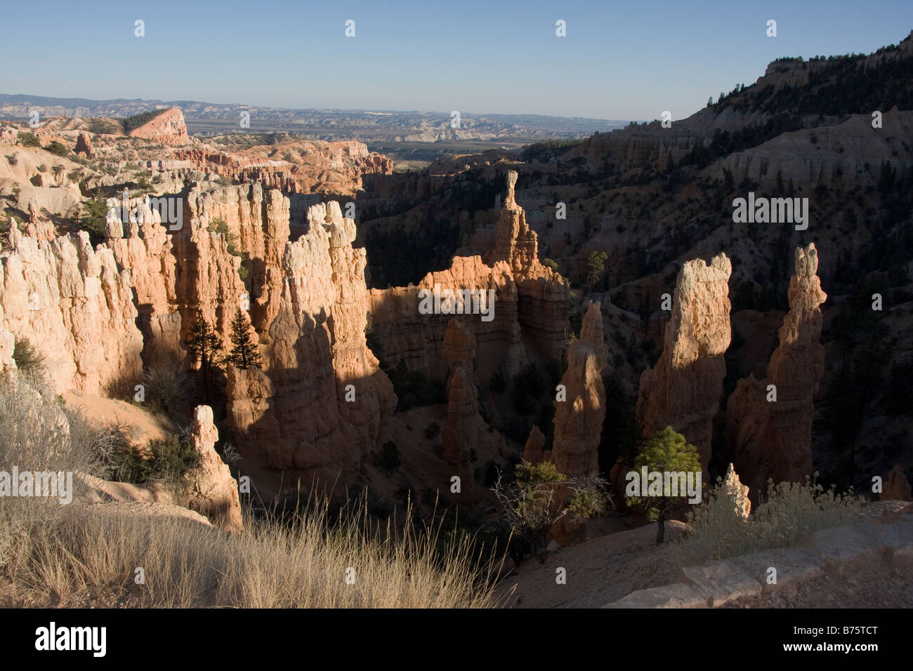 Splendour and glory hi-res stock photography and images - Alamy