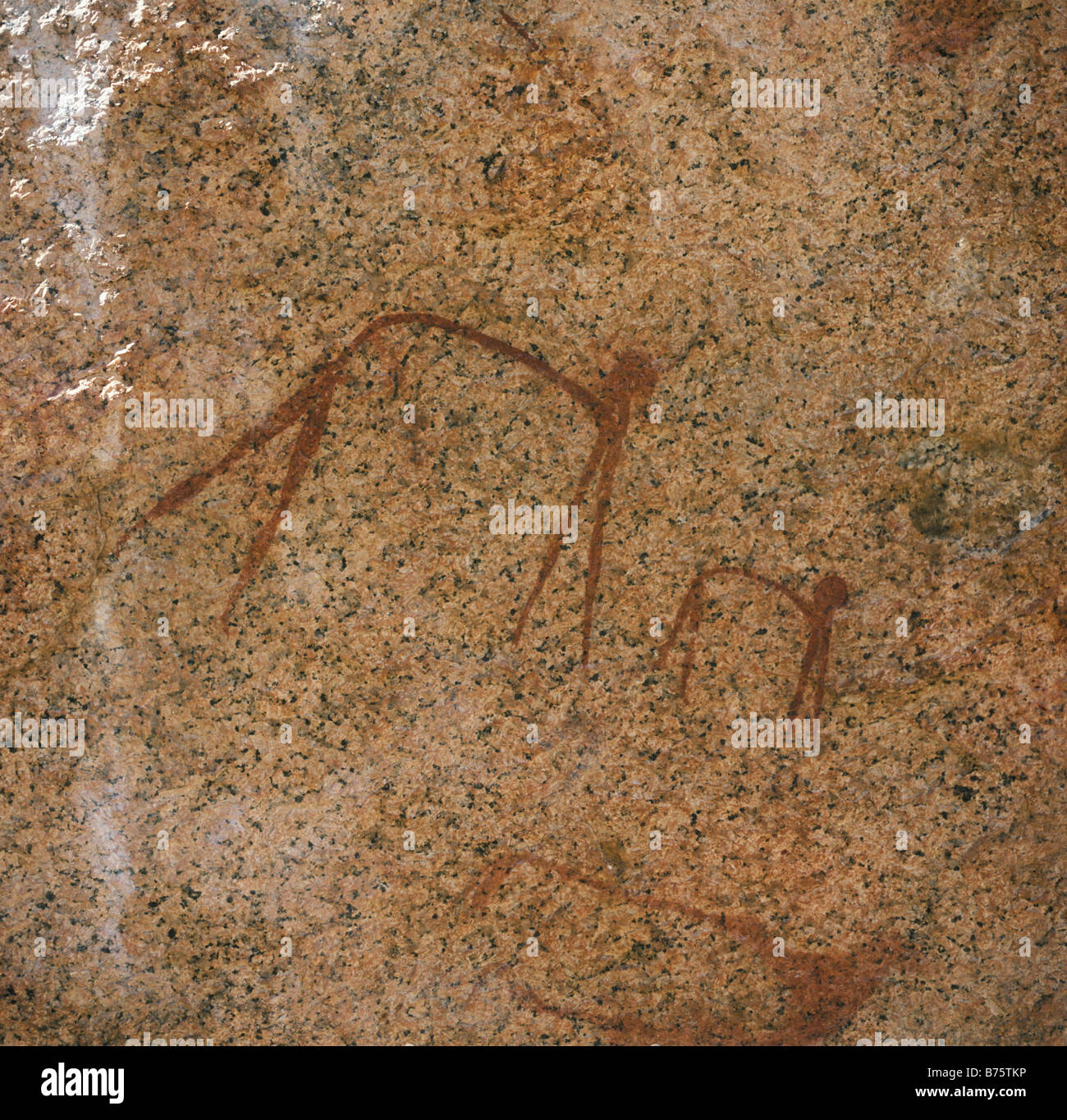 cave rock paintings of baboons Stock Photo - Alamy