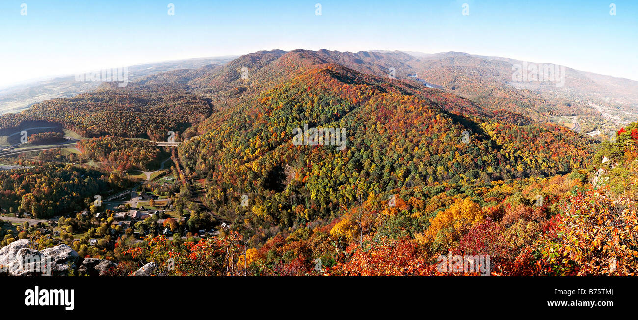 Trees in a hill range Stock Photo - Alamy