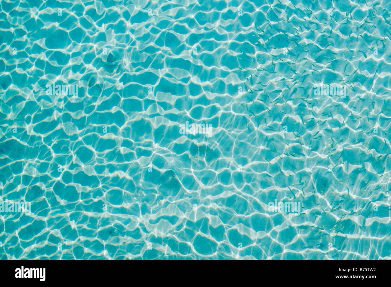 High angle view of water surface Stock Photo - Alamy
