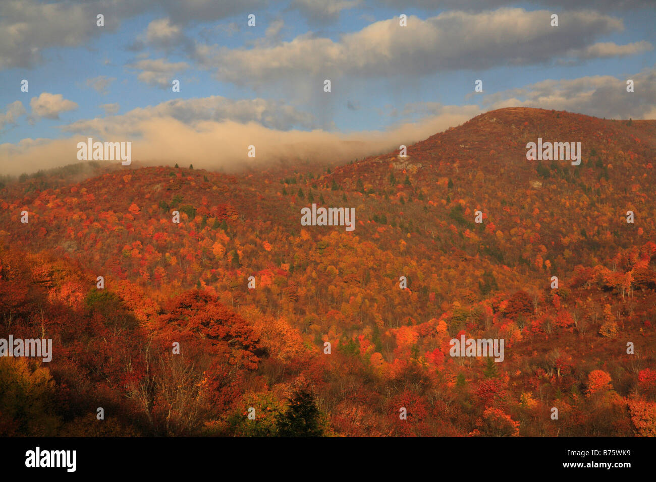 Sunrise, Graveyard Fields, Blue Ridge Parkway, North Carolina, USA ...
