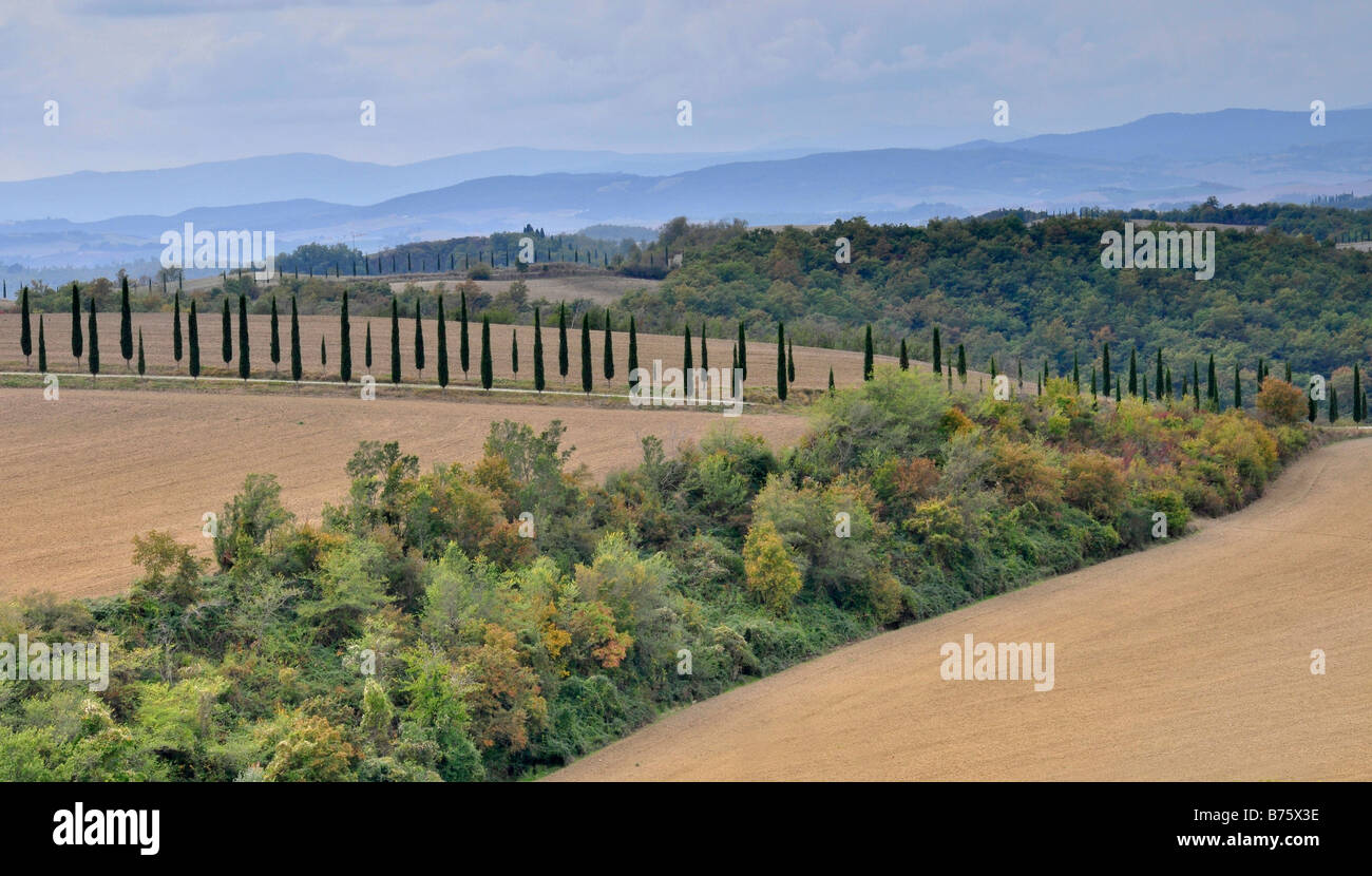 Beautiful autumn colors showing landscape of Tuscany is an all year ...