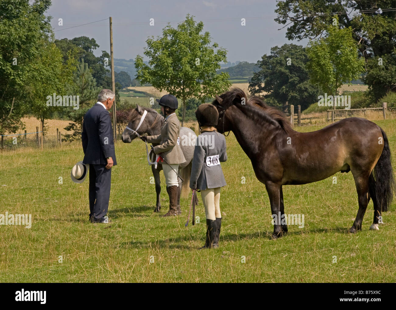 Show ponies hi-res stock photography and images - Alamy