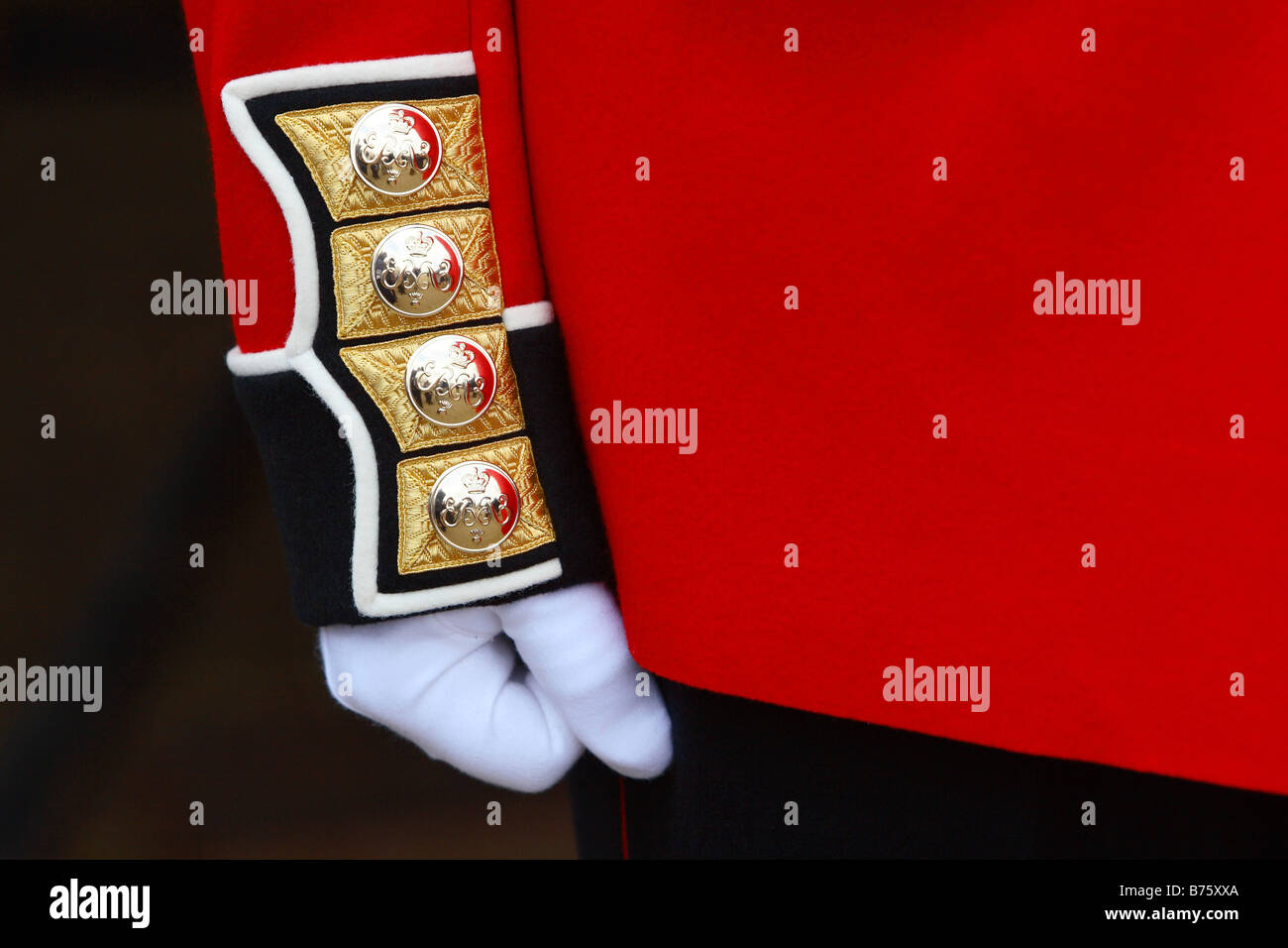 Honour guards hi-res stock photography and images - Alamy