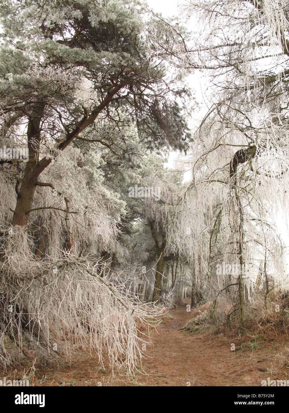 Fox hagg nature reserve hi-res stock photography and images - Alamy