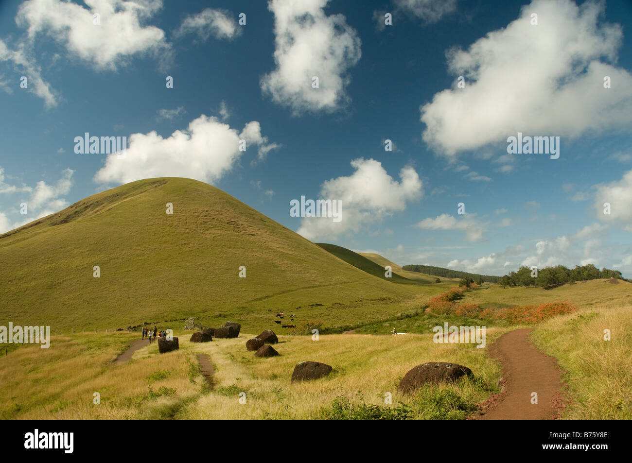 Puna pau hi-res stock photography and images - Alamy