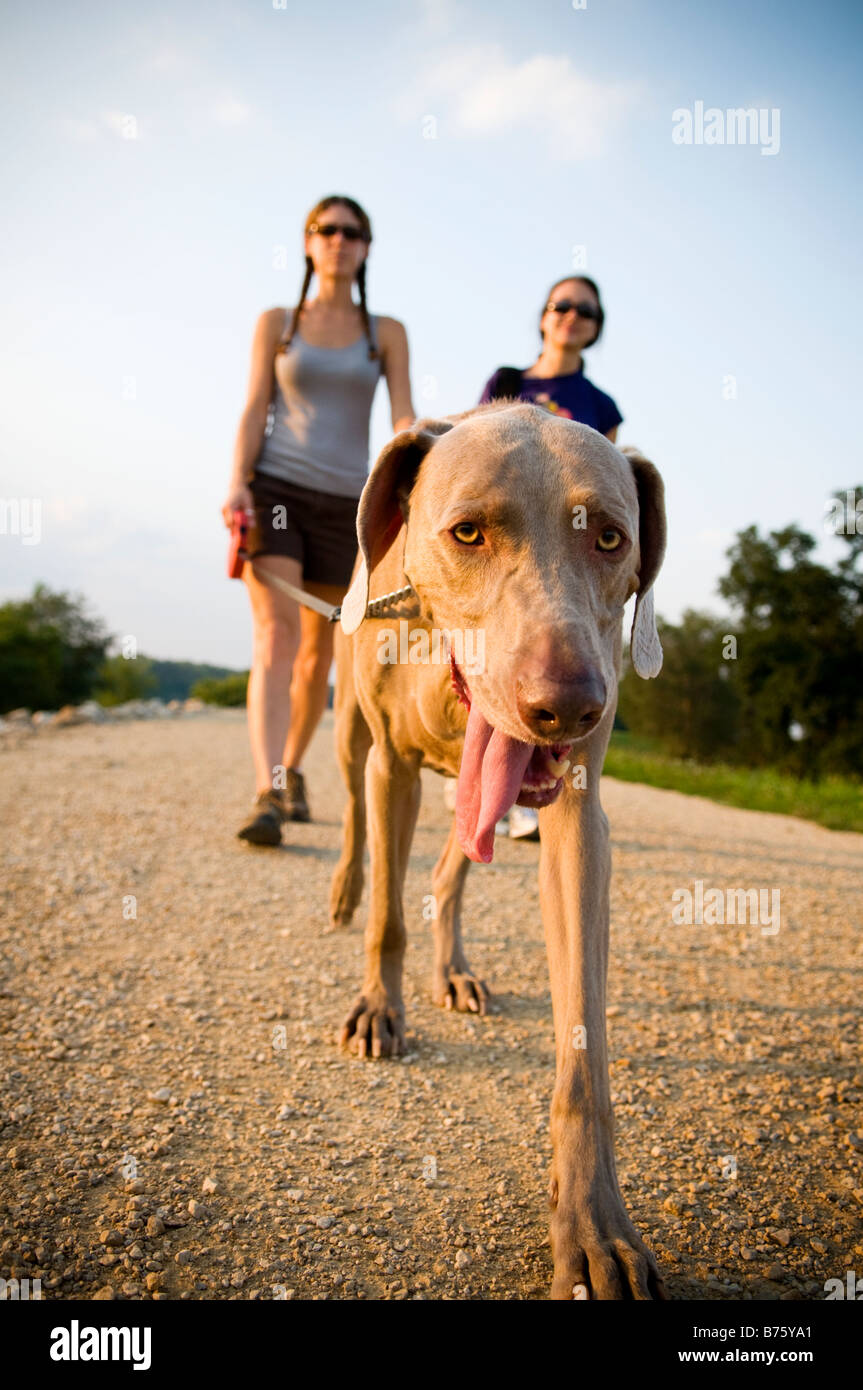 Two friends walking a dog Stock Photo - Alamy