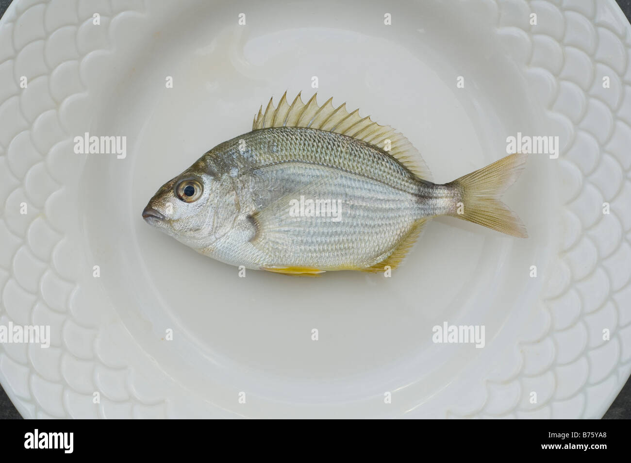 Rigor mortis hi-res stock photography and images - Alamy