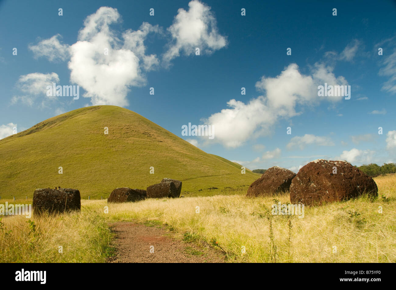 Puna Pau is a quarry in a small crater source of the red scoria that ...