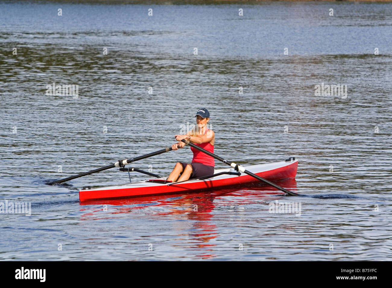 Rowing on the Charles River near Harvard University in Cambridge ...