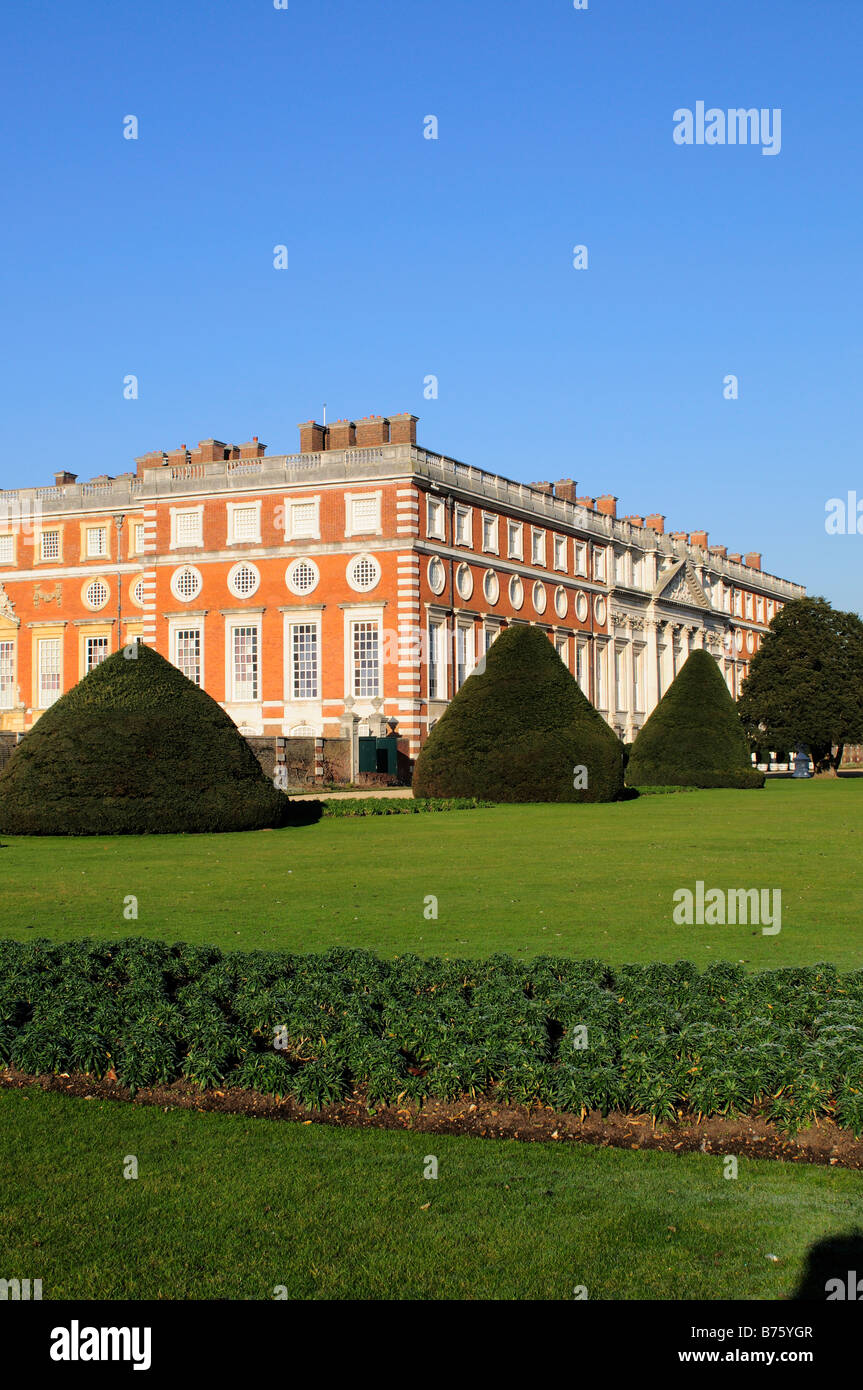 Conical yew trees hi-res stock photography and images - Alamy