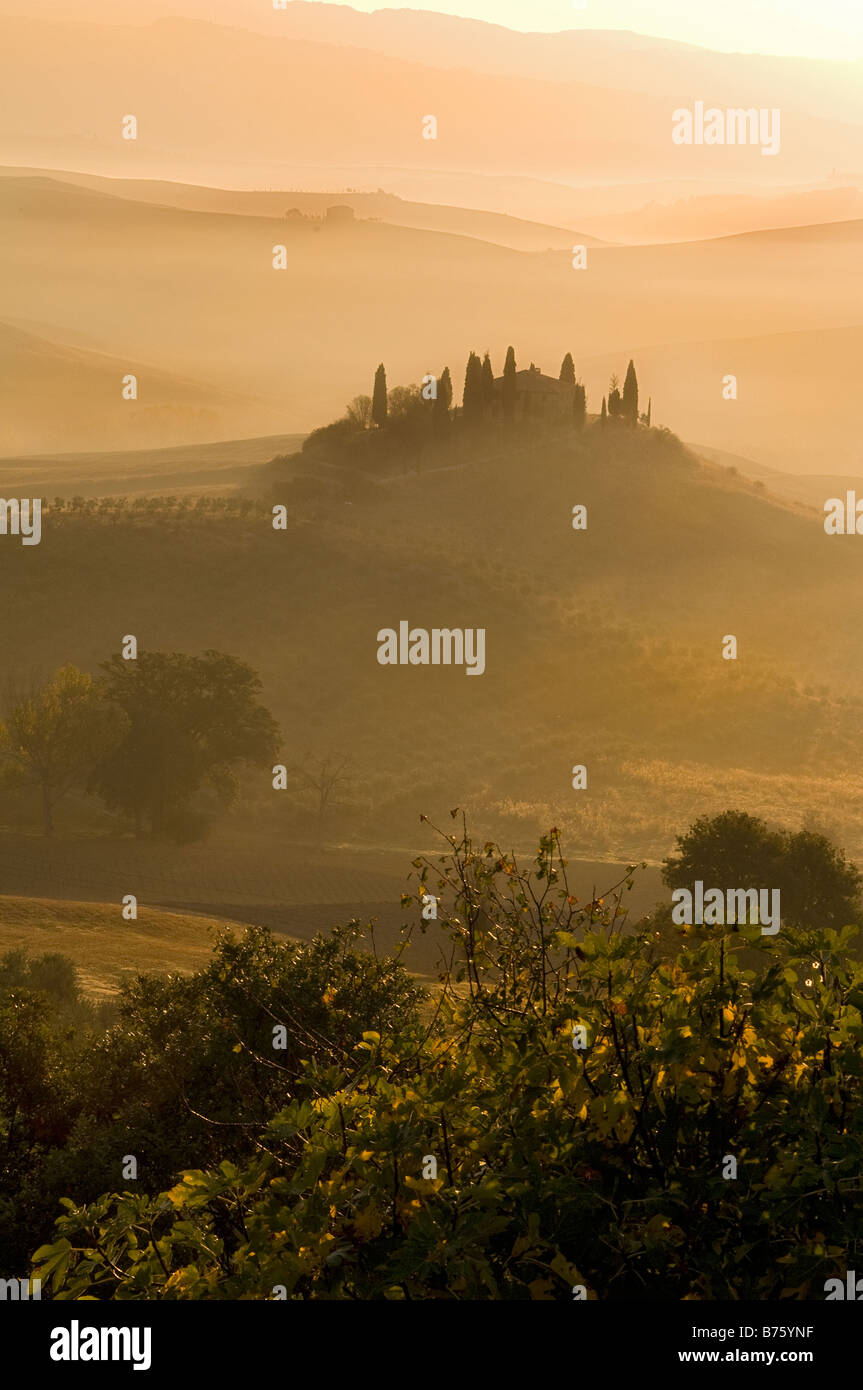 Portrait image of sun rising over misty italian farm house lined by ...