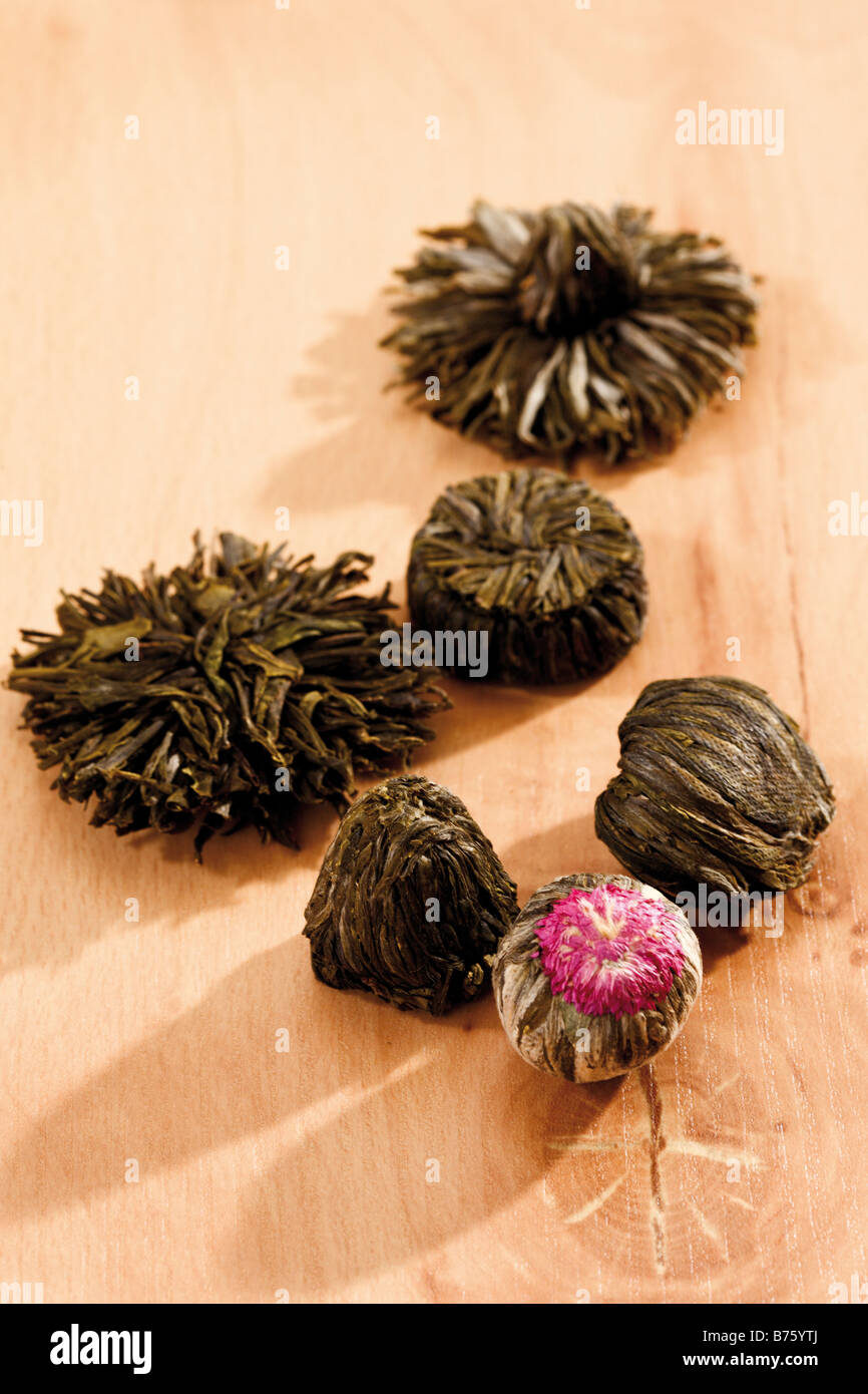 Tea rose (Tea leaves), elevated view Stock Photo - Alamy