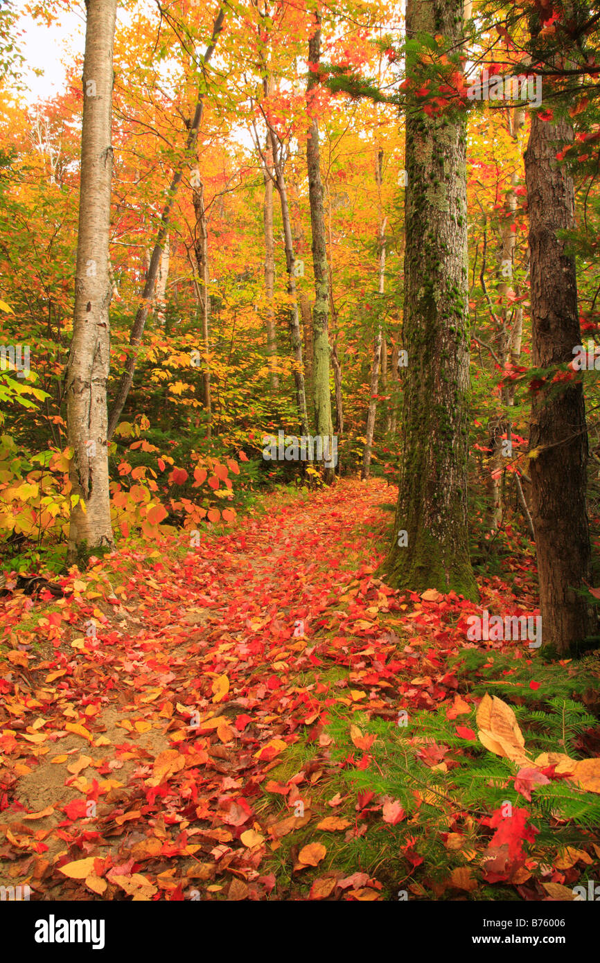 Franconia notch appalachian trail hi-res stock photography and images ...