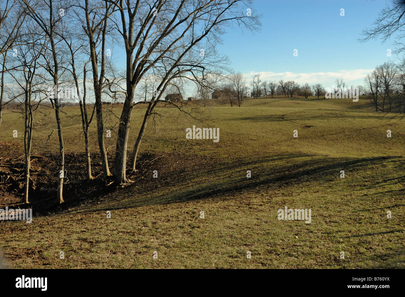 Rolling farmland in the bluegrass area of Kentucky USA Stock Photo - Alamy