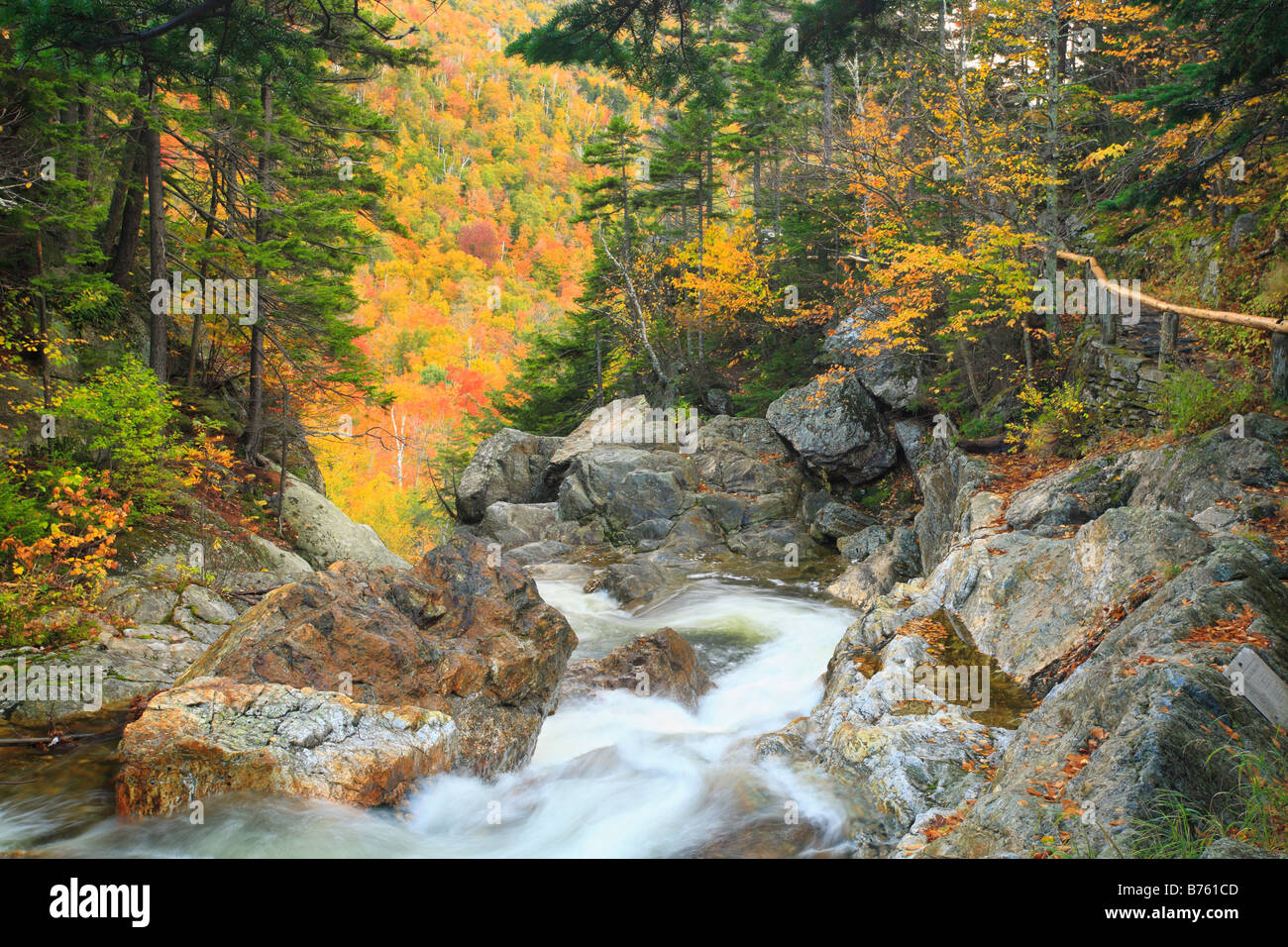 Above Glen Ellis Falls, Pinkham Notch, White Mountains, New Hampshire ...