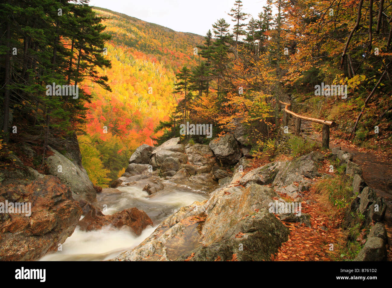 Above Glen Ellis Falls, Pinkham Notch, White Mountains, New Hampshire ...