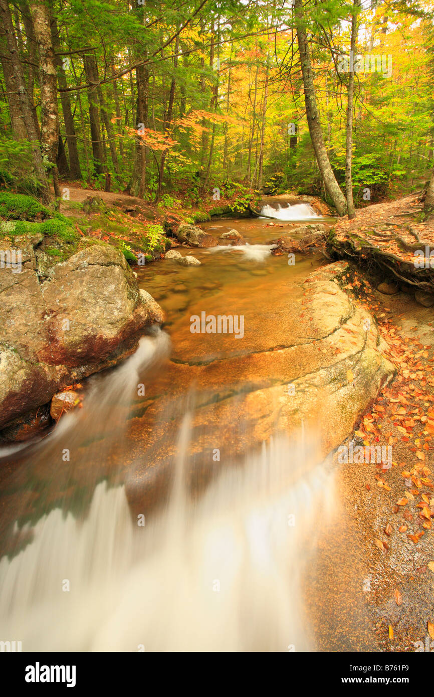 Stream Along The Basin Trail, Franconia Notch, White Mountains, New ...