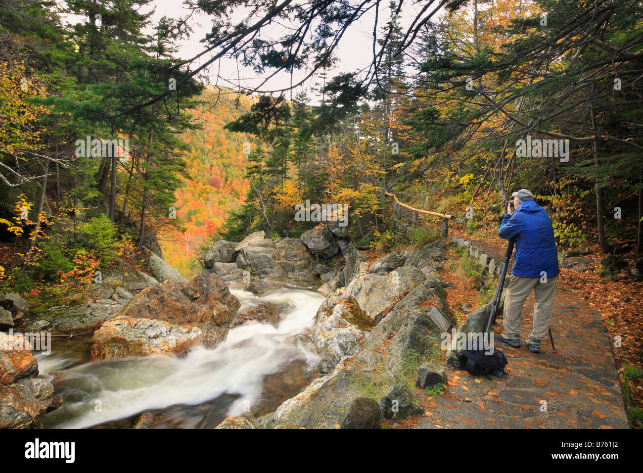 Photographer Above Glen Ellis Falls, Pinkham Notch, White Mountains ...