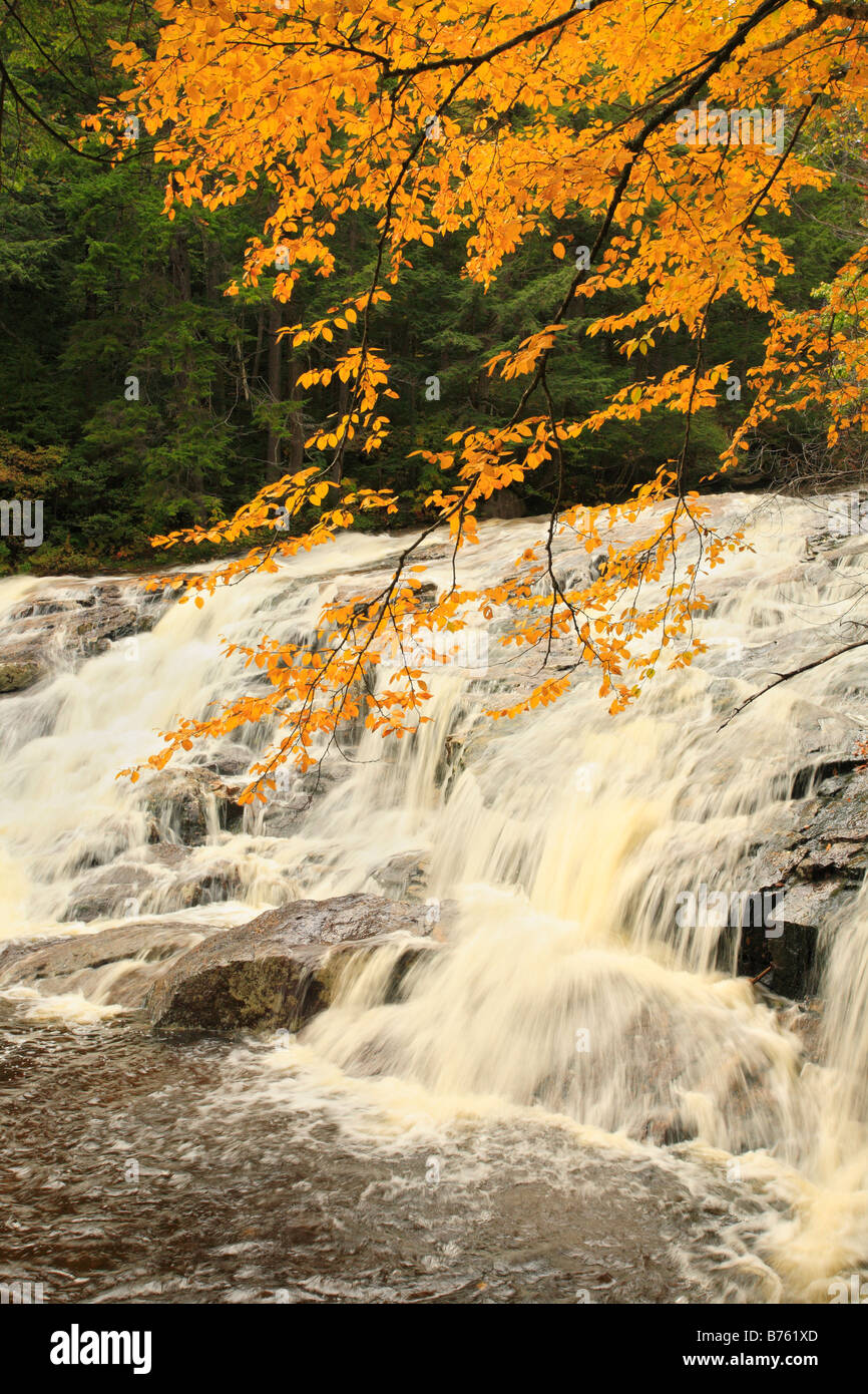 Waterfall on Cascade Brook, Beside Cascades-Basin Trail, Appalachain ...