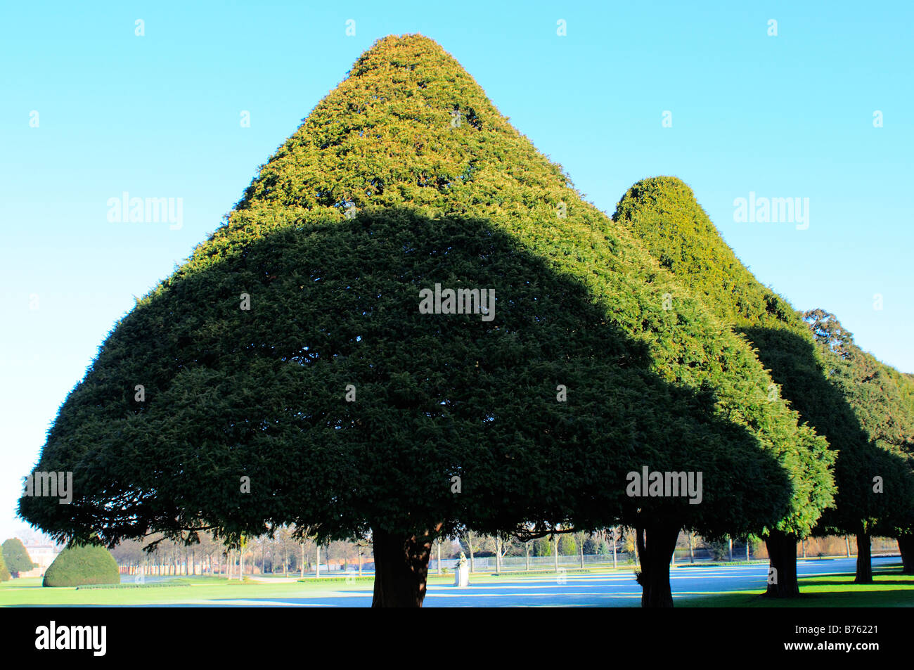 Triangular shaped tree hi-res stock photography and images - Alamy