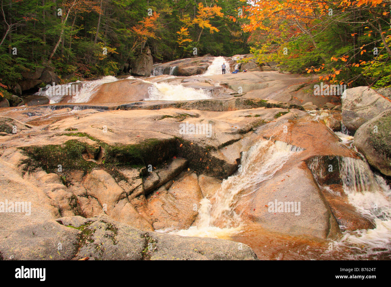 Hikers With Dog at Waterfall on Cascade Brook, Beside Cascades-Basin ...