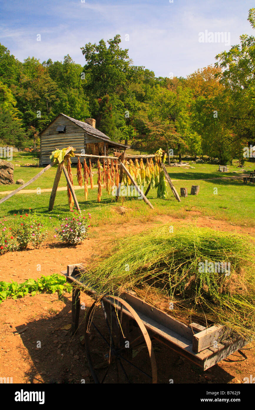 Virginia tobacco farm hi-res stock photography and images - Alamy