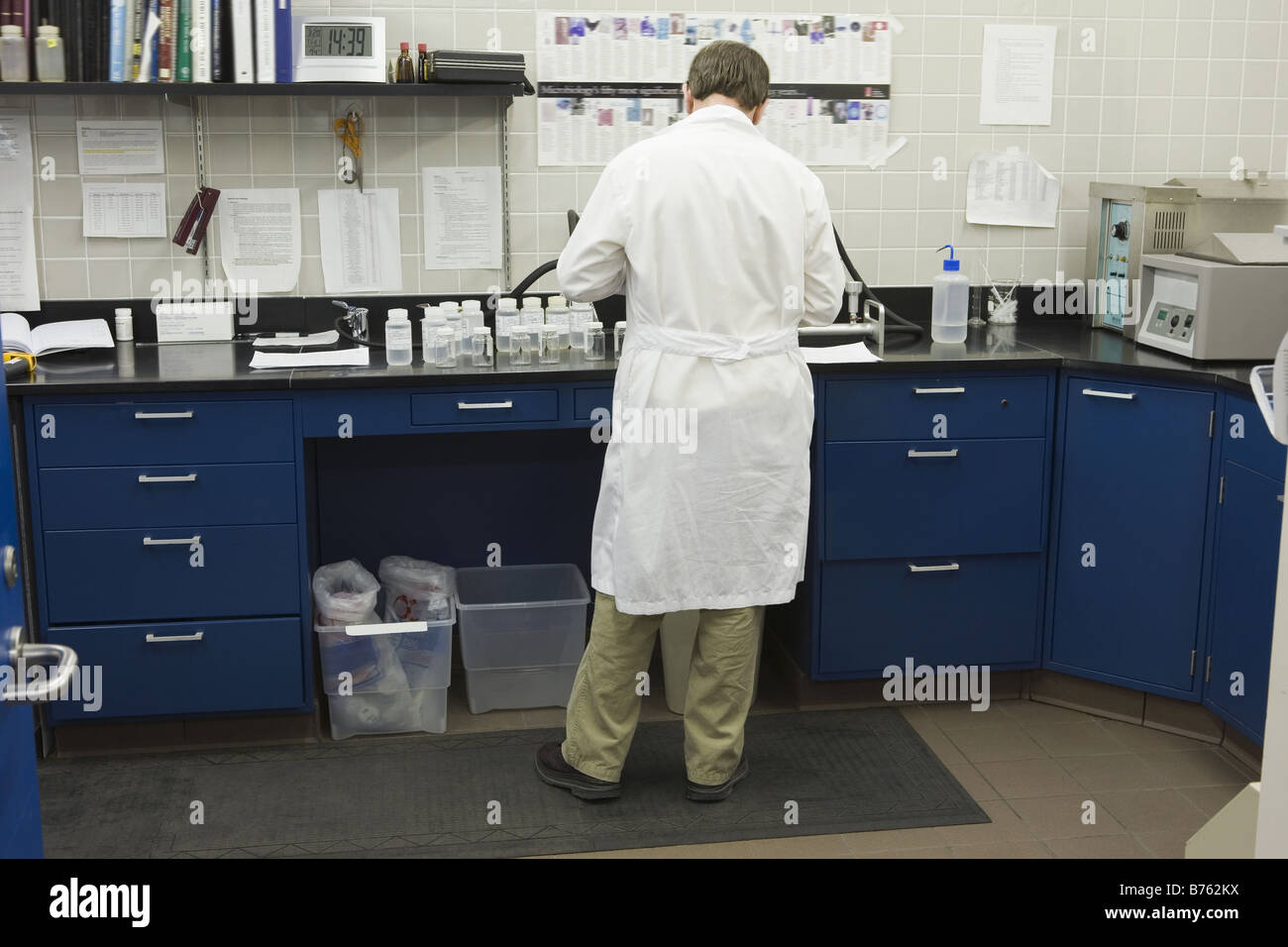 Rear view of a scientist working in a laboratory Stock Photo - Alamy