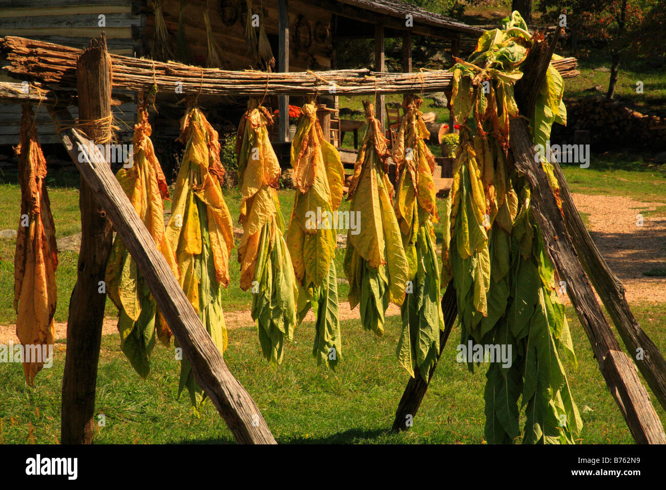 Virginia tobacco farm hi-res stock photography and images - Alamy